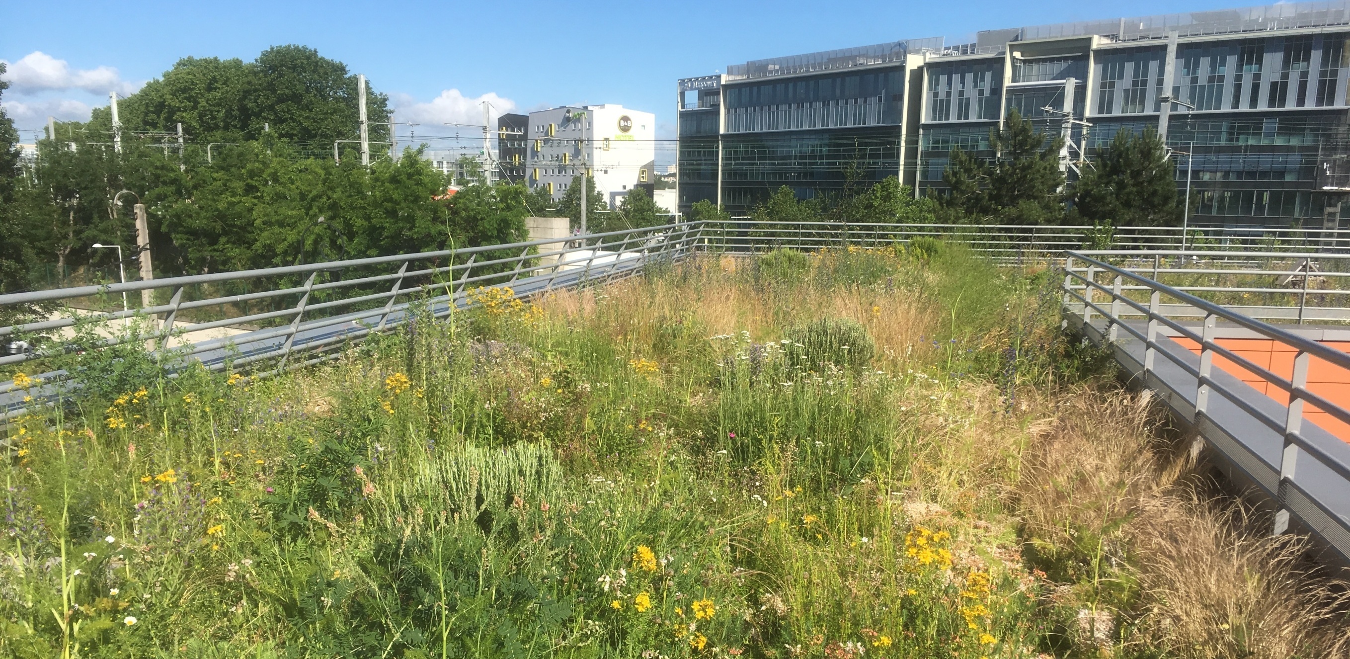Végétalisation et biodiversité : trois questions à Frédéric Madre ...