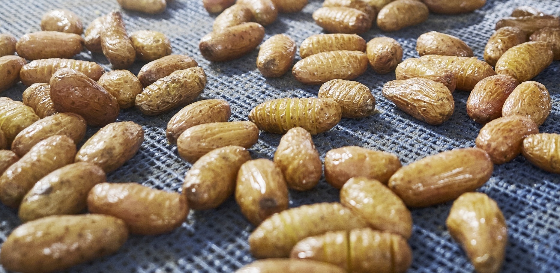 Le Duff structure son pôle salé en RHD avec Gourming